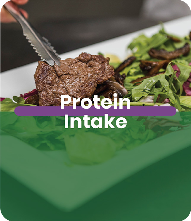 Protein Intake